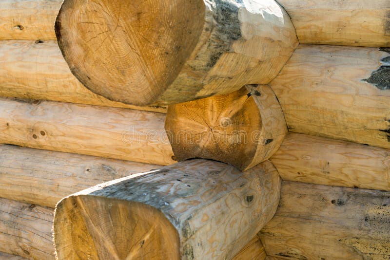 Construction De La Cabane En Rondins Convenable Handcrafted De Scribe ...