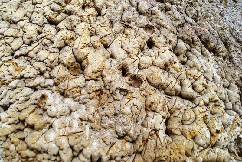 Construction foam texture stock photo. Image of industrial - 51087434