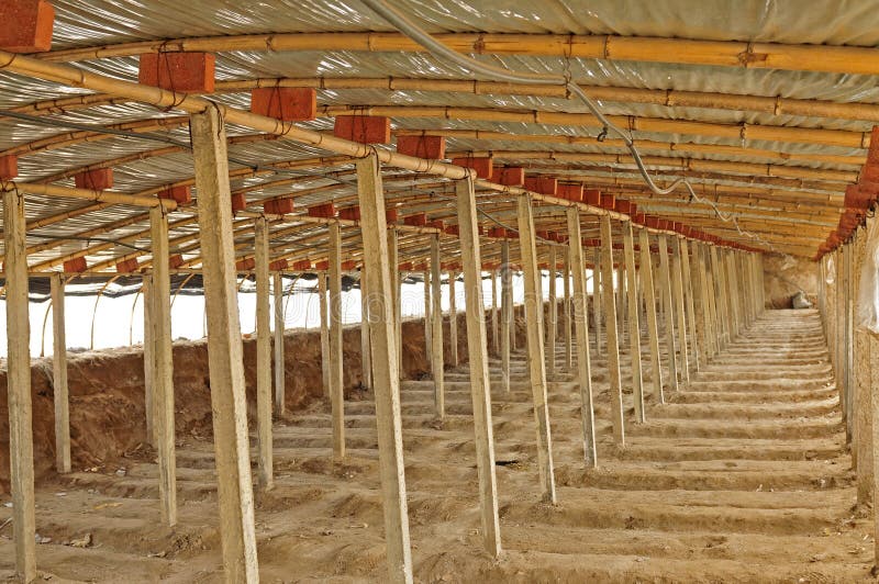 Construction Good Vegetable Shed Stock Photo - Image of spring, harvest ...