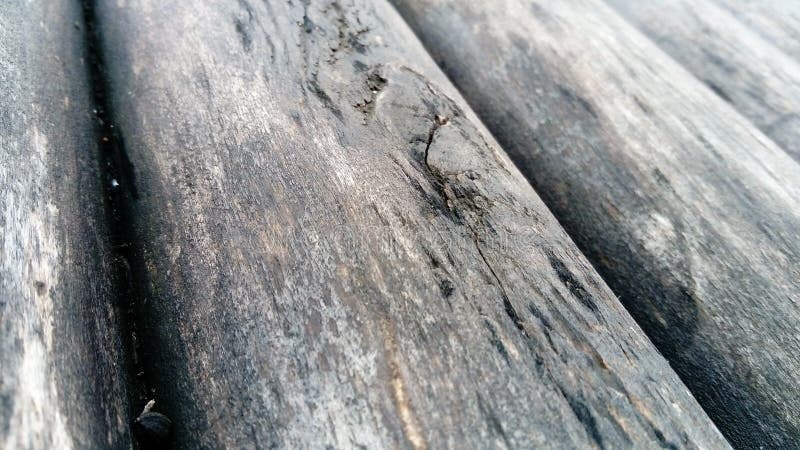 A Construction Log for Use in Construction without Longitudinal Sawing ...