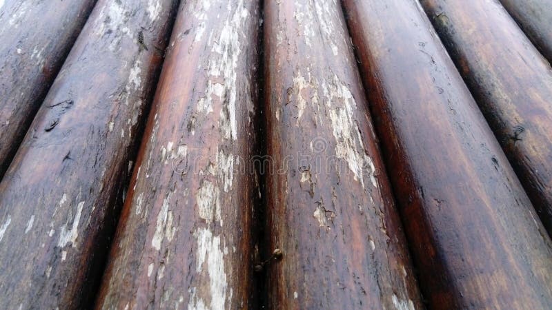 A Construction Log for Use in Construction without Longitudinal Sawing ...