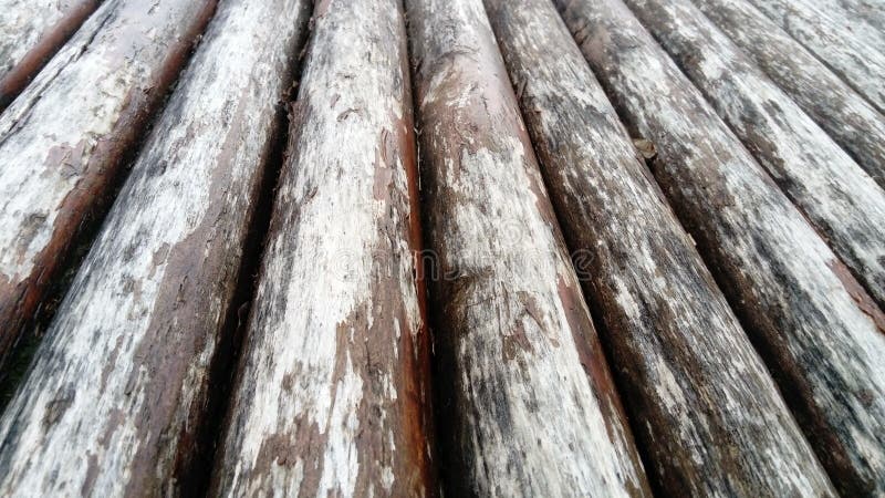 A Construction Log for Use in Construction without Longitudinal Sawing ...