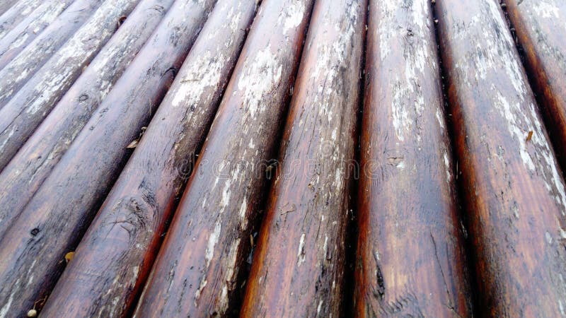 A Construction Log for Use in Construction without Longitudinal Sawing ...