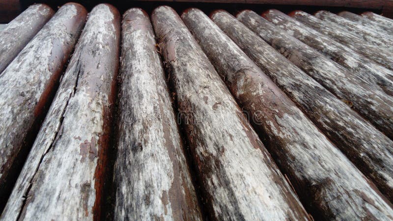 A Construction Log for Use in Construction without Longitudinal Sawing ...