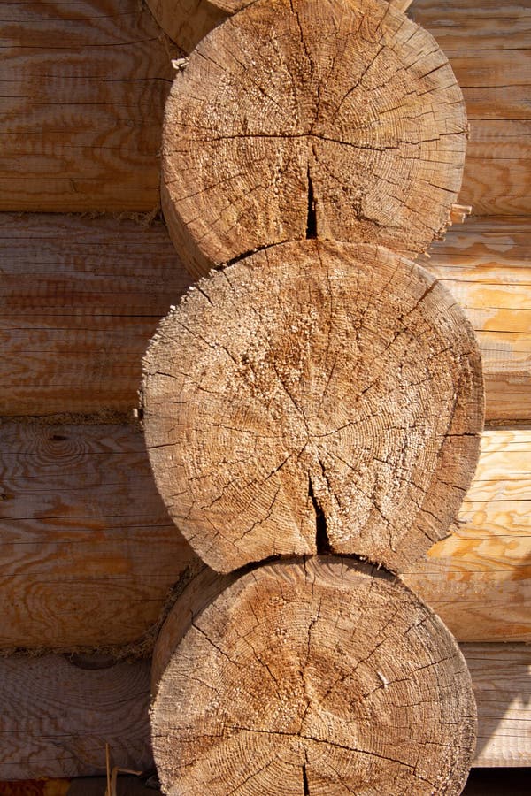 Construction Material Round Logs Stock Photo - Image of pile, beam ...