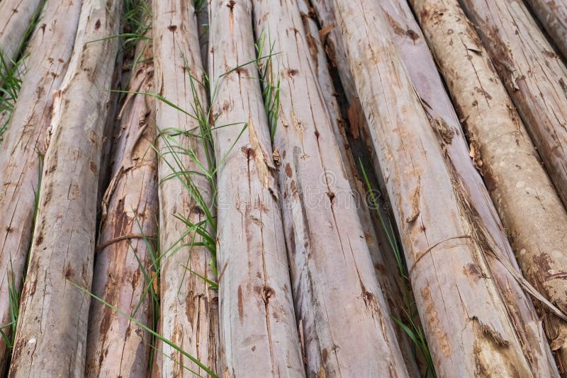 Construction materials stock image. Image of fresh, painter - 49357593