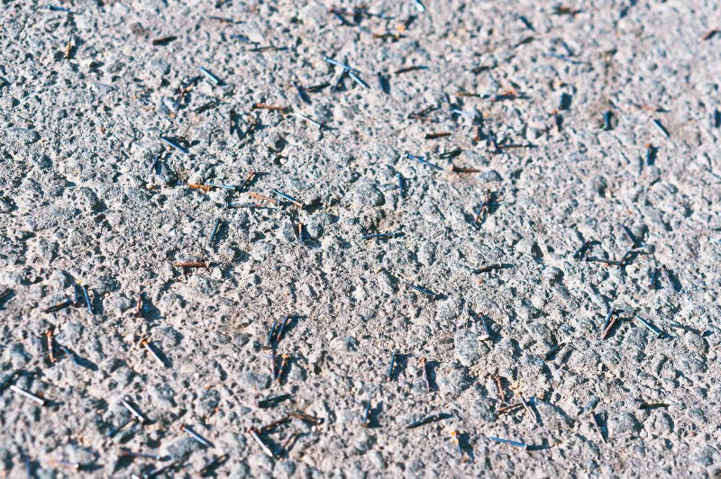 209 Iron Nail Hammered Photos - Free & Royalty-Free Stock Photos from ...