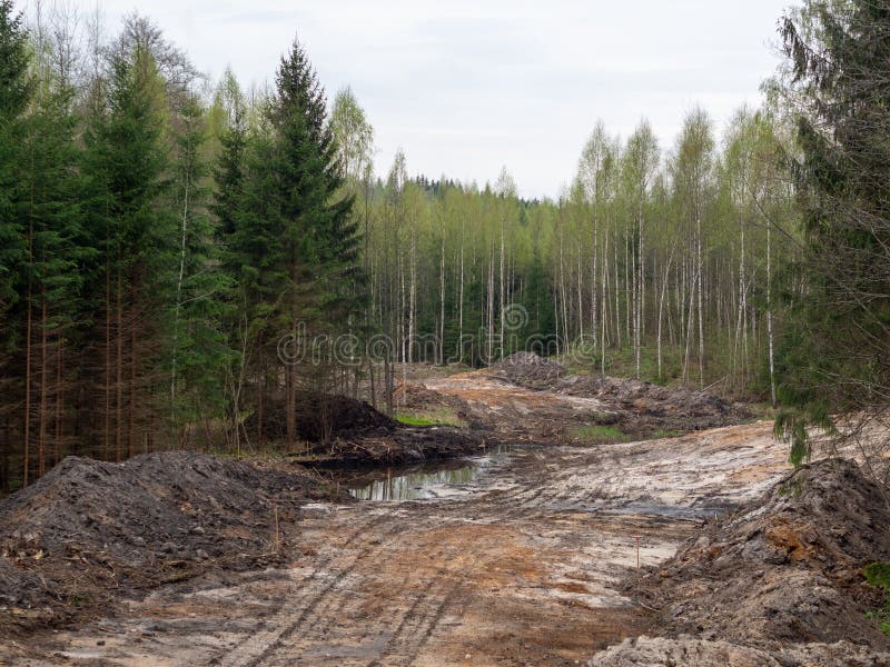 Construction of a New Forest Road Stock Photo - Image of road ...