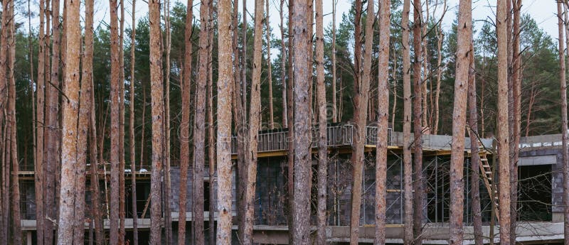 Construction of a New House in the Forest Stock Image - Image of ...