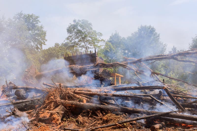 In Construction Site an Burning the Uprooted Forest for the ...