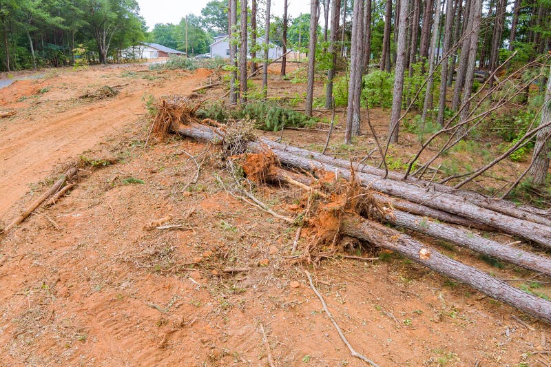 A Construction Site with Trees Uprooted Roots, and a Landscape that Was ...
