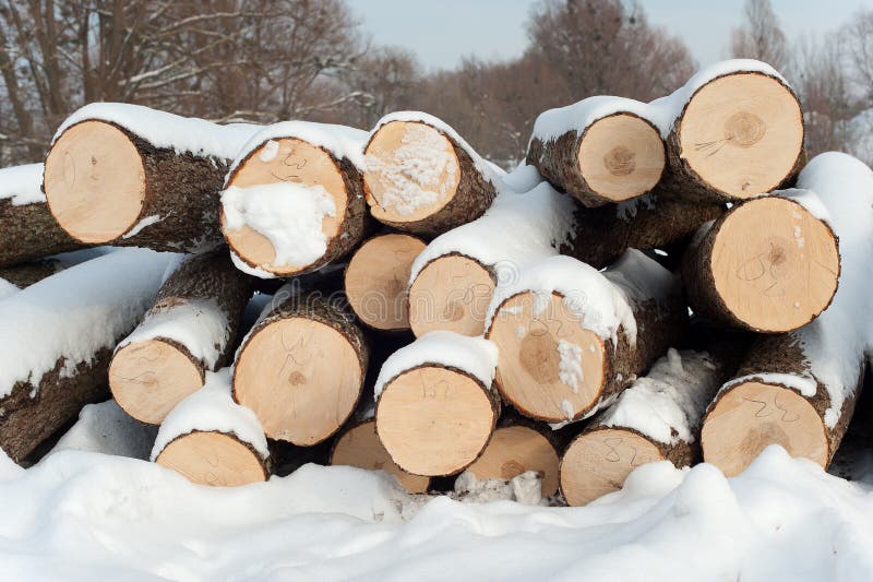 Construction timber stock photo. Image of rough, fallen - 51329954
