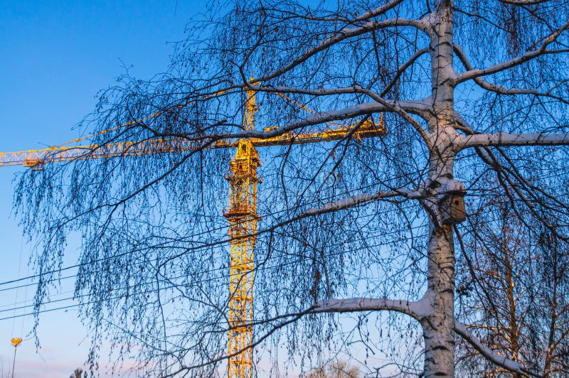 A Construction Tower Crane and a Snow-covered Birch Tree in Winter ...