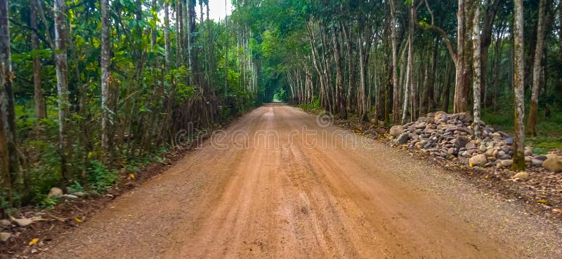 Construction of a Village Road Stock Image - Image of road, natural ...