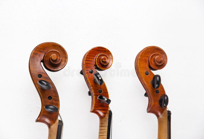 The Construction of Violin,Scroll,Pegbox and Neck,they are Stacked on ...