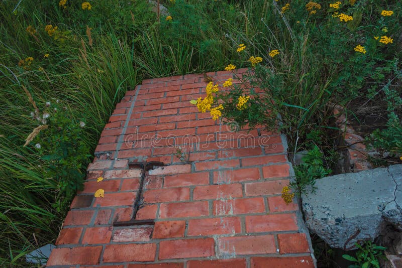 Construction Waste in the Field Stock Photo - Image of paving, dirt ...