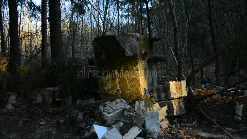 Construction Waste in the Forest Stock Footage - Video of flow ...