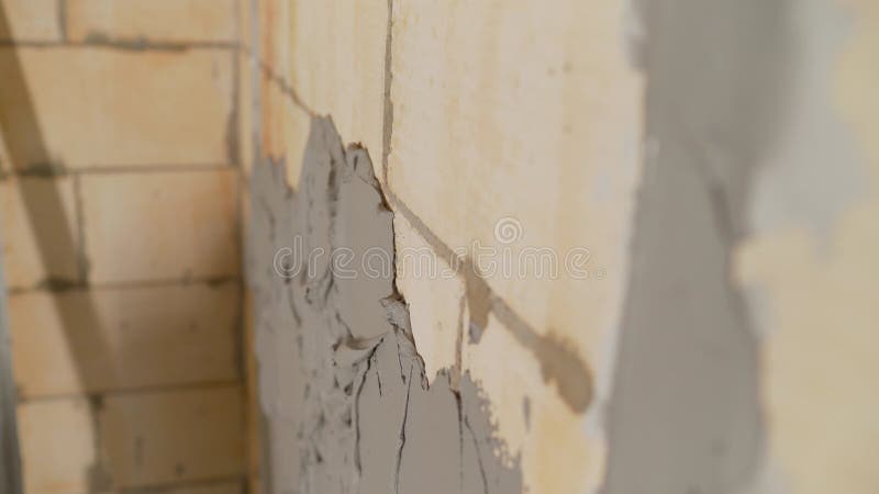Construction Worker Applying Plaster on Brick Wall with Trowel Stock ...