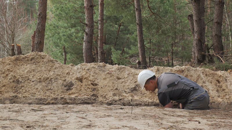 Construction Worker Digging Trench in a Forested Area during Daytime ...