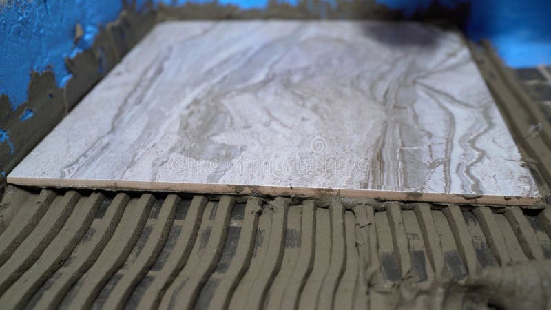 Construction Worker Placing Ceramic Tile on Wet Cement Mortar Using ...
