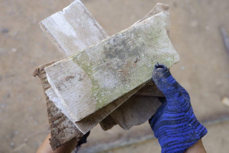 Construction Workers Collecting Bricks Stock Image - Image of collect ...