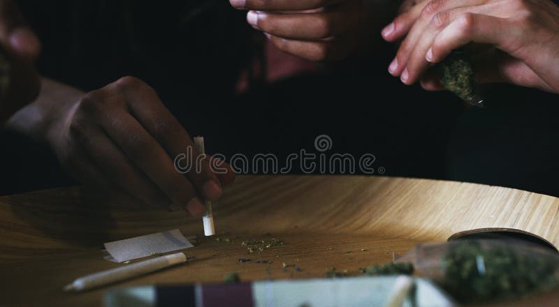 Consumate Cannabis Rollers. Men Rolling a Marijuana Joint at Home ...