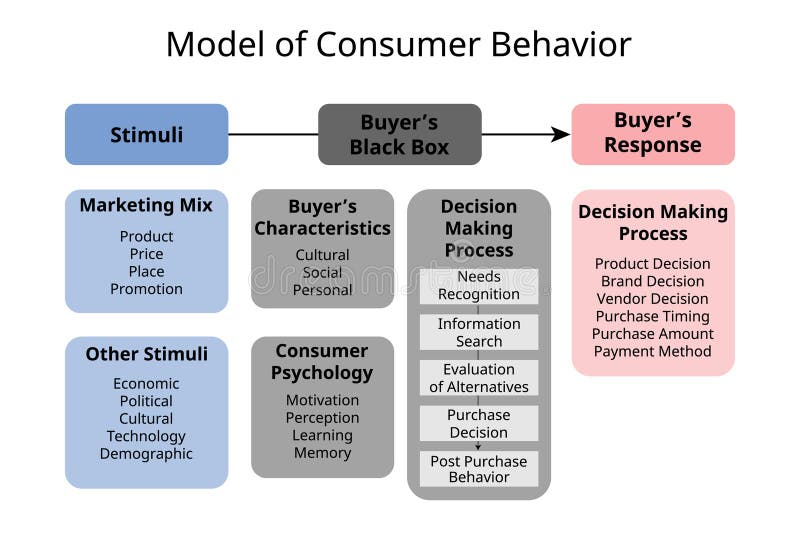 Consumer Behavior Model Consist of Stimuli, Buyer S Black Box and ...