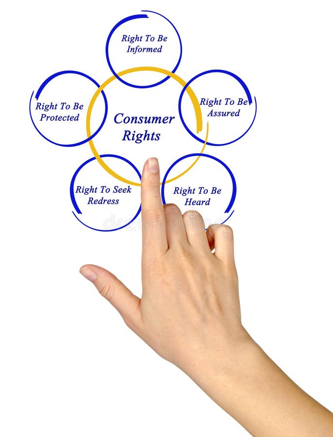 Consumer Rights Protection Wheel Infographic Stock Illustration ...