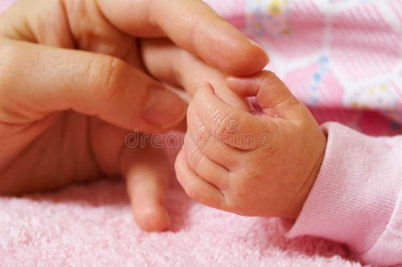 Contact stock photo. Image of touch, contact, rose, hand - 1881670