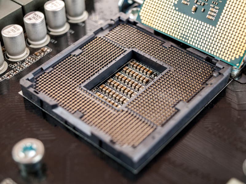 Contacts For Connecting The Cpu On The Motherboard To The Processor Socket Close Up Macro