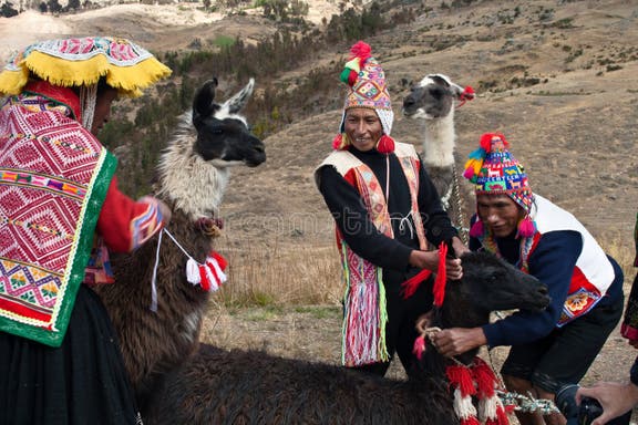 Contadini Peruviani Ed I Loro Lama Immagine Editoriale - Immagine di ...
