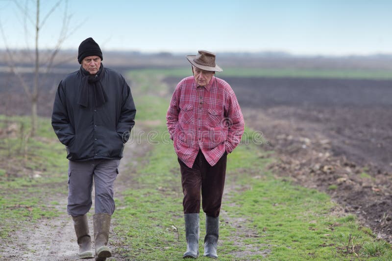 Contadini sul campo fotografia stock. Immagine di coltivato - 68255054