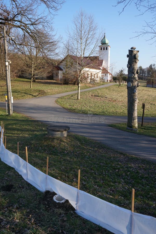 Toads crossing march 2025 stock image. Image of amphibians - 371572061