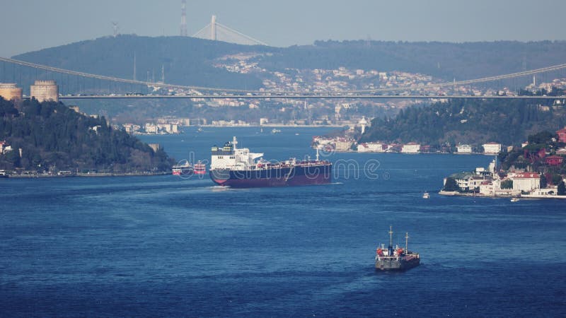 Container Cargo Transportation, International Delivery and Logistics of ...