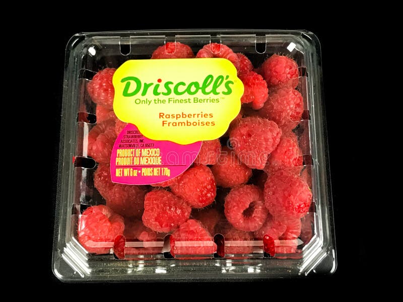 Container of Driscoll`s Raspberries Editorial Photo - Image of fresh ...