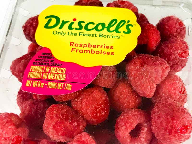 Container of Driscoll`s Raspberries Editorial Photo - Image of fresh ...