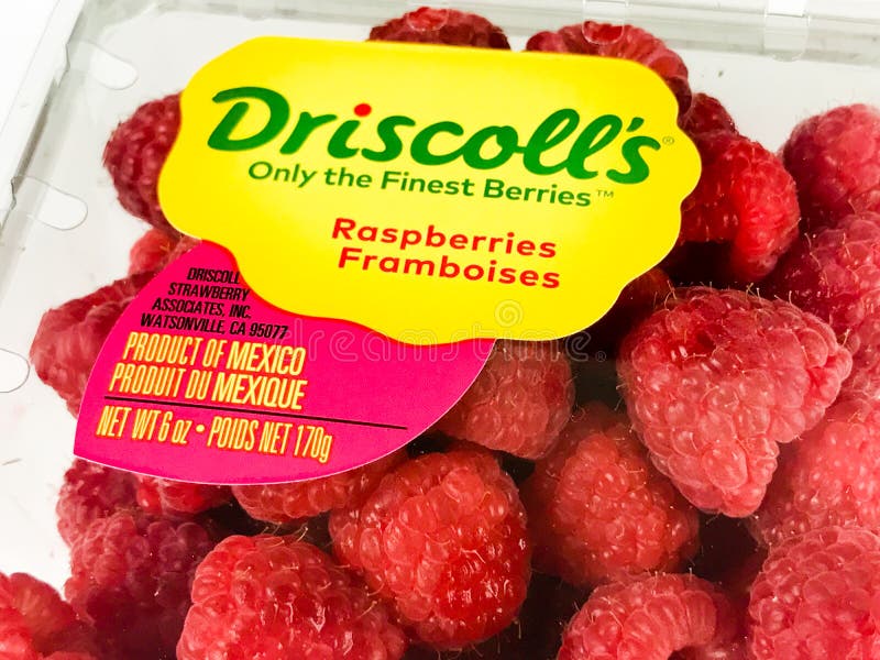 Container of Driscoll`s Raspberries Editorial Photo - Image of fresh ...