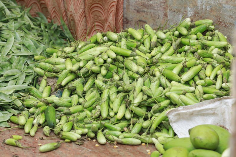 A Container Full of Raw Green Vegetable Stock Photo - Image of variety ...