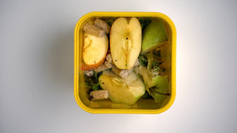 Container with Food Waste Standing on Table, Economic and Environmental ...