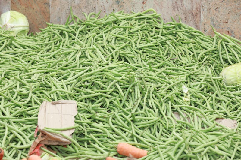 A Container Full of Raw Green Vegetable Stock Image - Image of tomato ...