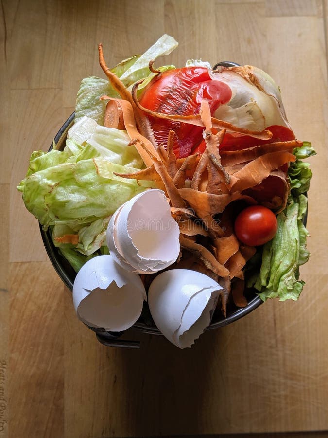 Container Full of Vegetables and Food Items for Composting. Stock Image ...