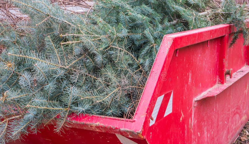 Container with Garden Waste in Spring Stock Photo - Image of garden ...
