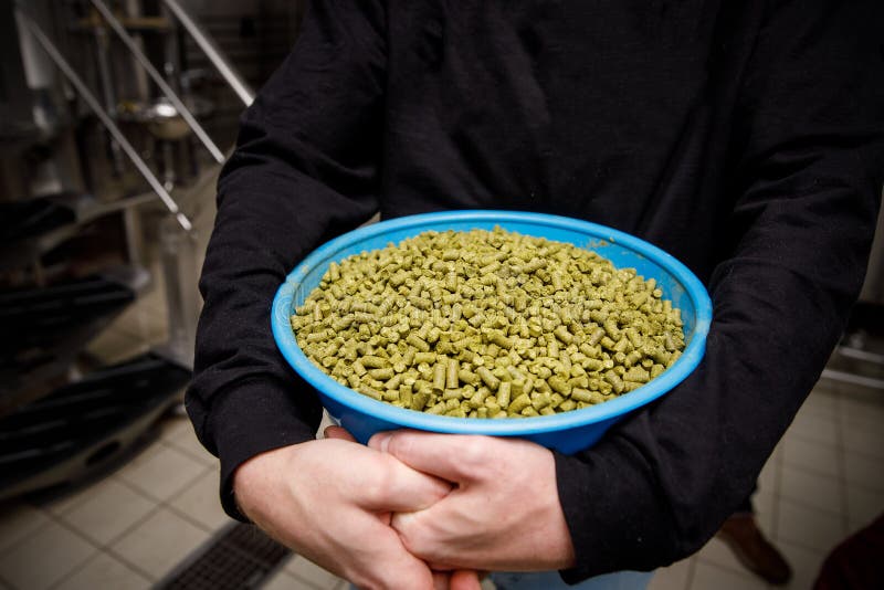 Container with Granulated Hops in the Hands of Brewer. Ingredient for ...