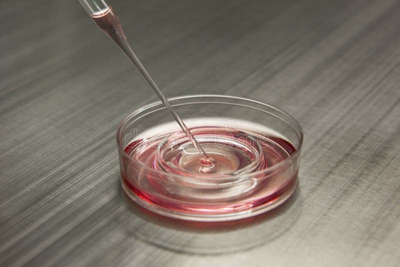 Container with Liquid and a Syringe Stock Image - Image of medication ...