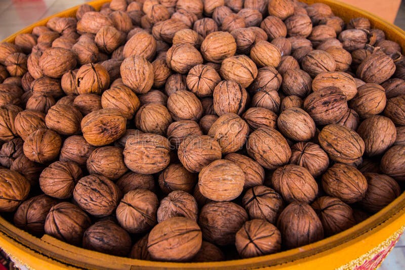 In the Container is a Lot of Walnuts Stock Image - Image of capacity ...