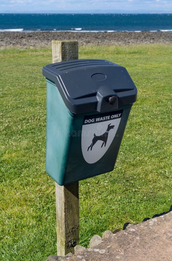 Container for Pet Waste in a Public Place Stock Photo - Image of ...