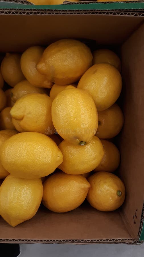 Container of Ripe Yellow Lemons at a Local Market Stock Image - Image ...