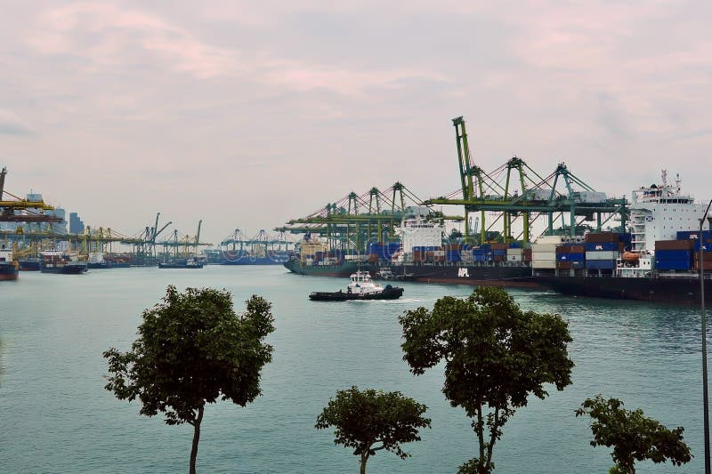 Container Terminal with Cranes Stacked Containers Empty Road Under ...