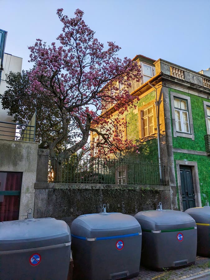 Containers Garbage Street Bin Portugal Editorial Photo - Image of ...