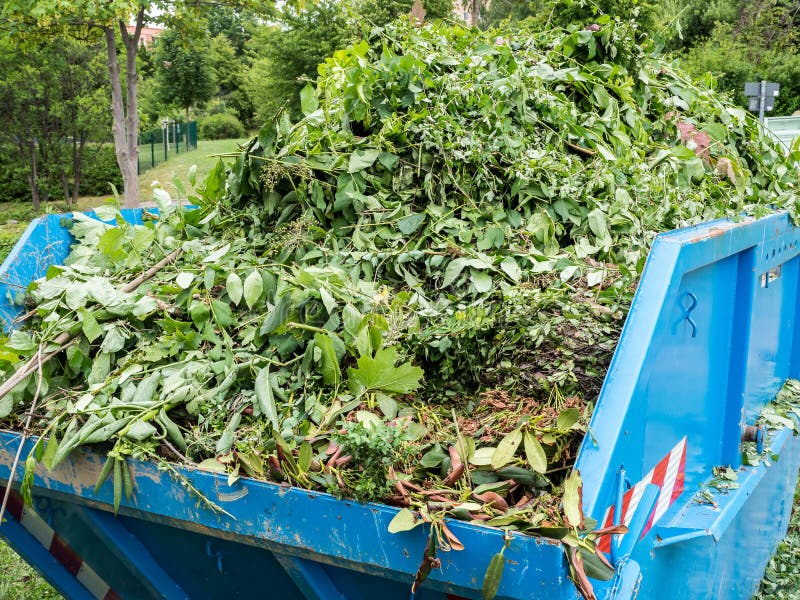 Containers with Green Waste Recycling Stock Photo - Image of ...